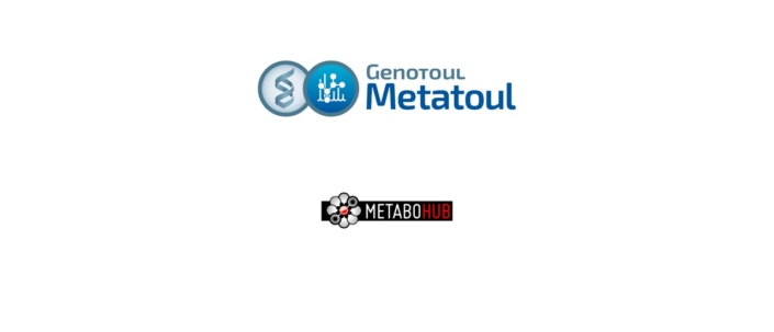 Home - METATOUL